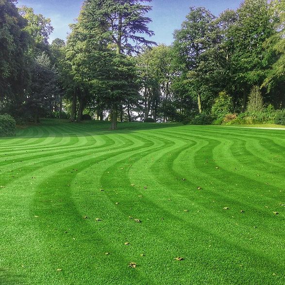 Caravan Park Eco Grass Seed Mix only £89.50